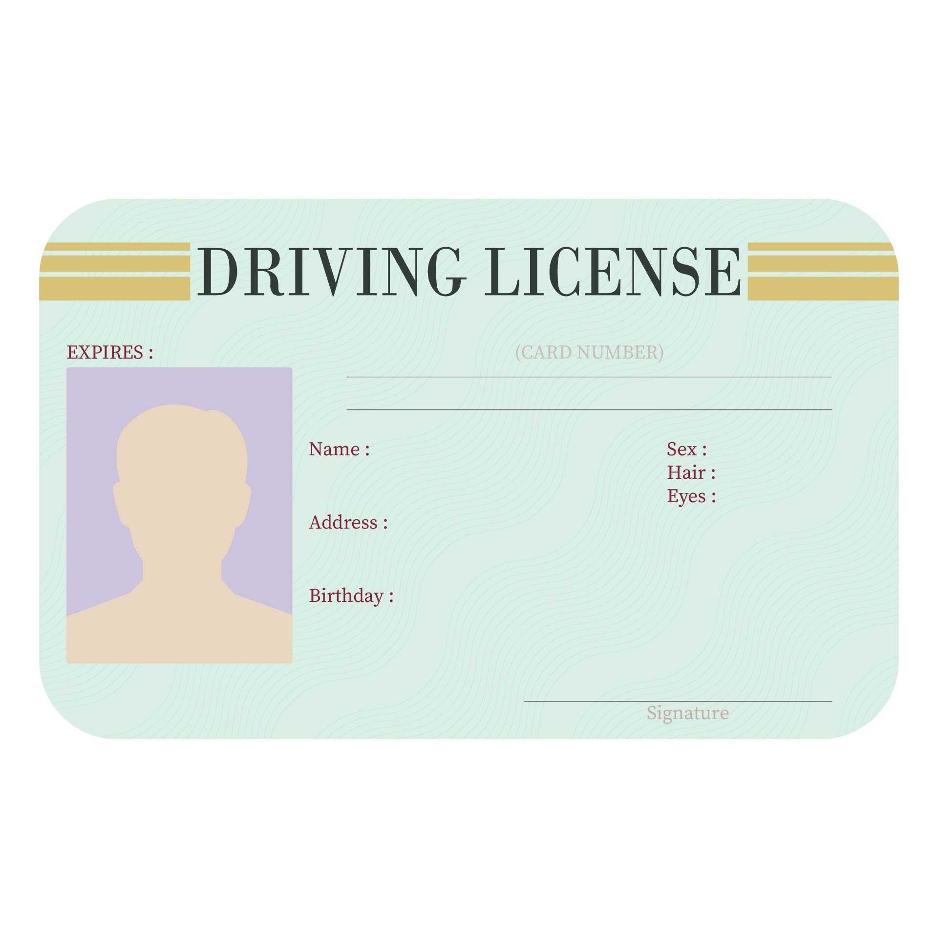 Blank Drivers License Template - Rebeccachulew.com