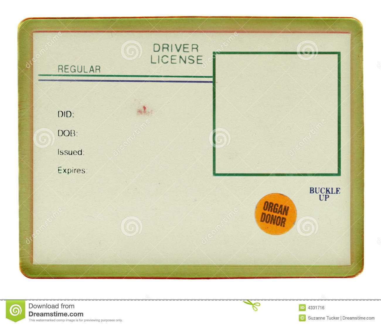 Blank Drivers License Template - Rebeccachulew.com