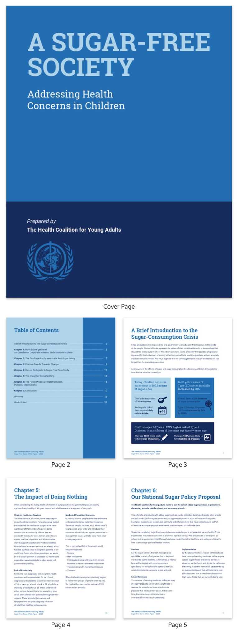 Introduction Template For Report - Rebeccachulew.com