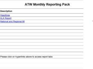 Mi Report Template - Rebeccachulew.com