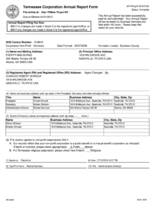 Llc Annual Report Template - Rebeccachulew.com