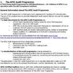 GMP Audit Report - Rebeccachulew.com