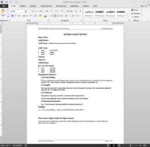 Internal Control Audit Report Template - Rebeccachulew.com