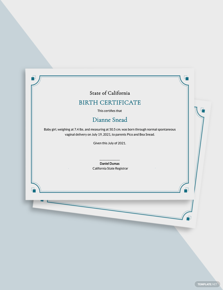Birth Certificates Templates Word – Design, Free, Download With Birth ...