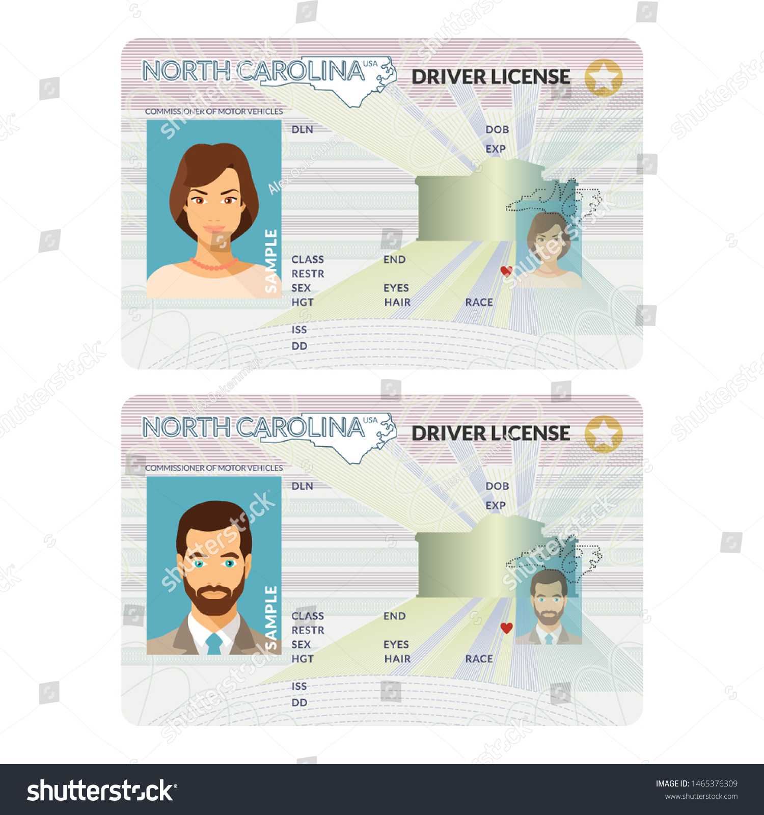 Blank Drivers License Template - Rebeccachulew.com