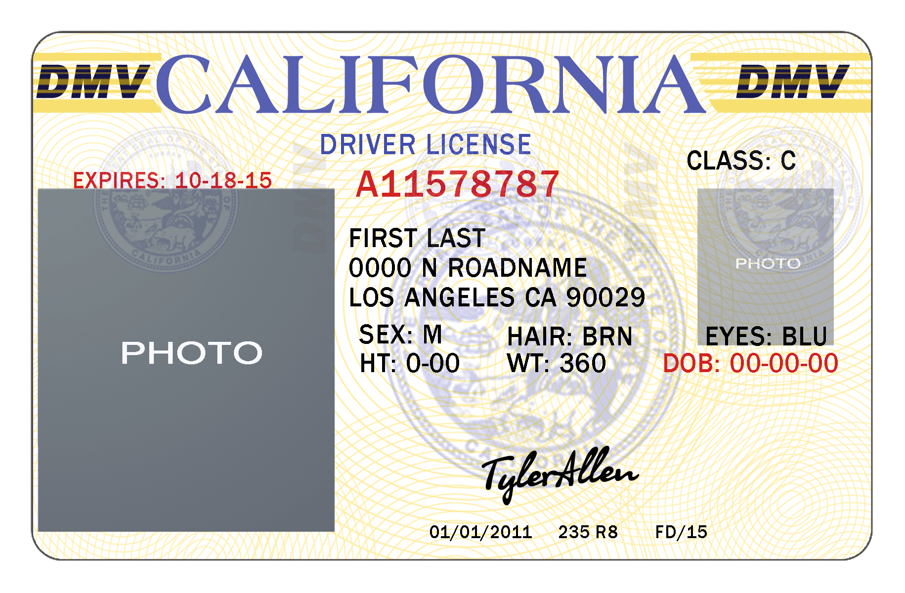 Blank Drivers License Template - Rebeccachulew.com