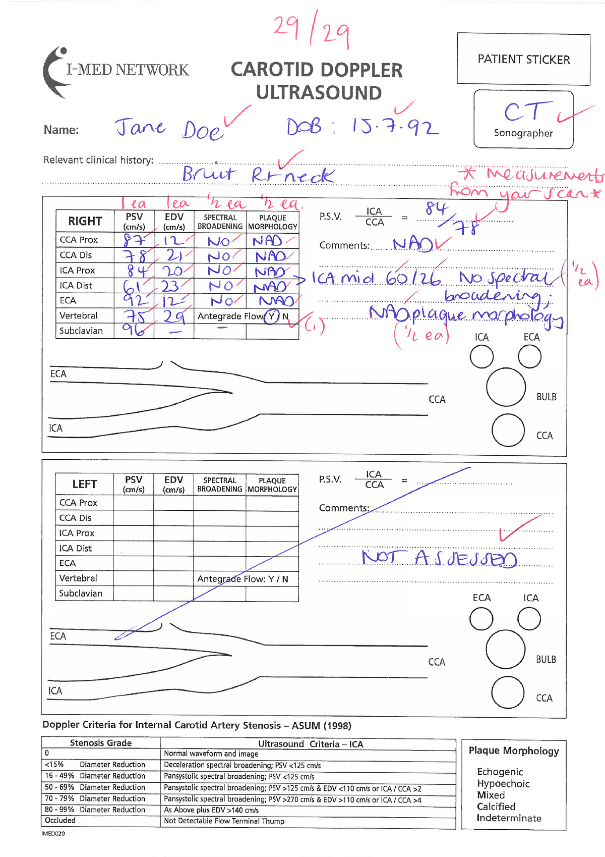 Carotid Worksheet Example – - Rebeccachulew.com