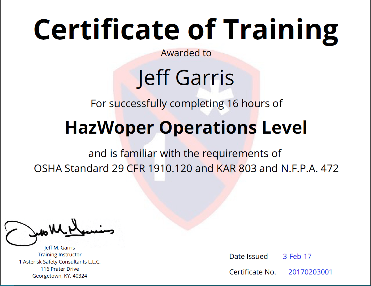 Template For Training Certificate - Rebeccachulew.com