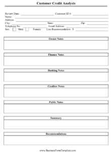 Customer Credit Analysis Report Template Download Printable PDF For ...