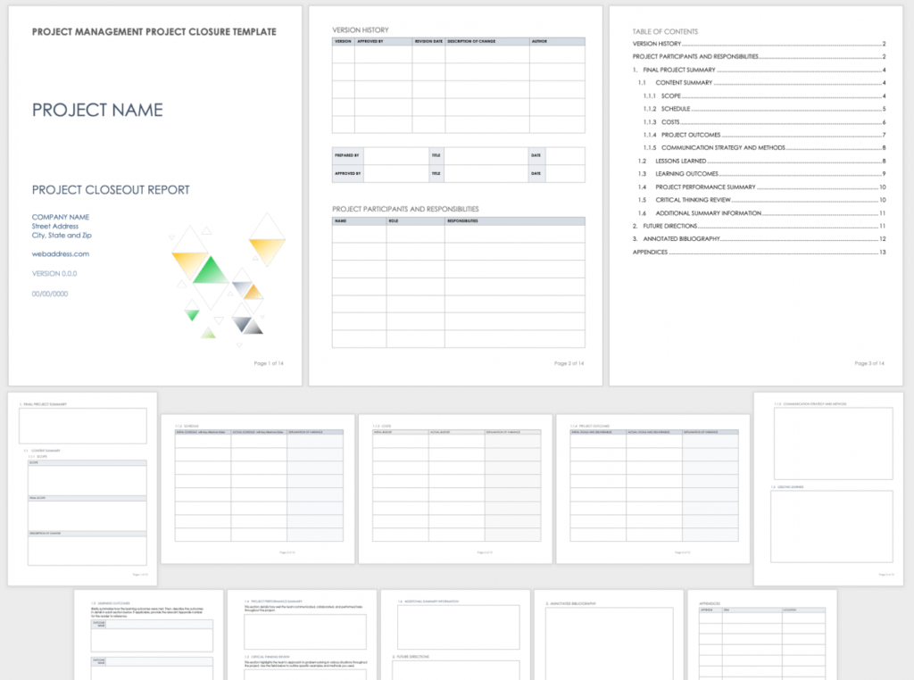 Free Project Closeout Templates Smartsheet Throughout Test Exit Report ...