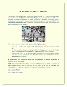 Eeo 1 Report Template - Rebeccachulew.com