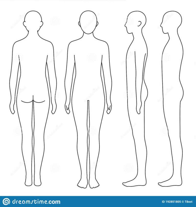 Human Body Outline Stock Illustrations – 10,10 Human Body Outline ...