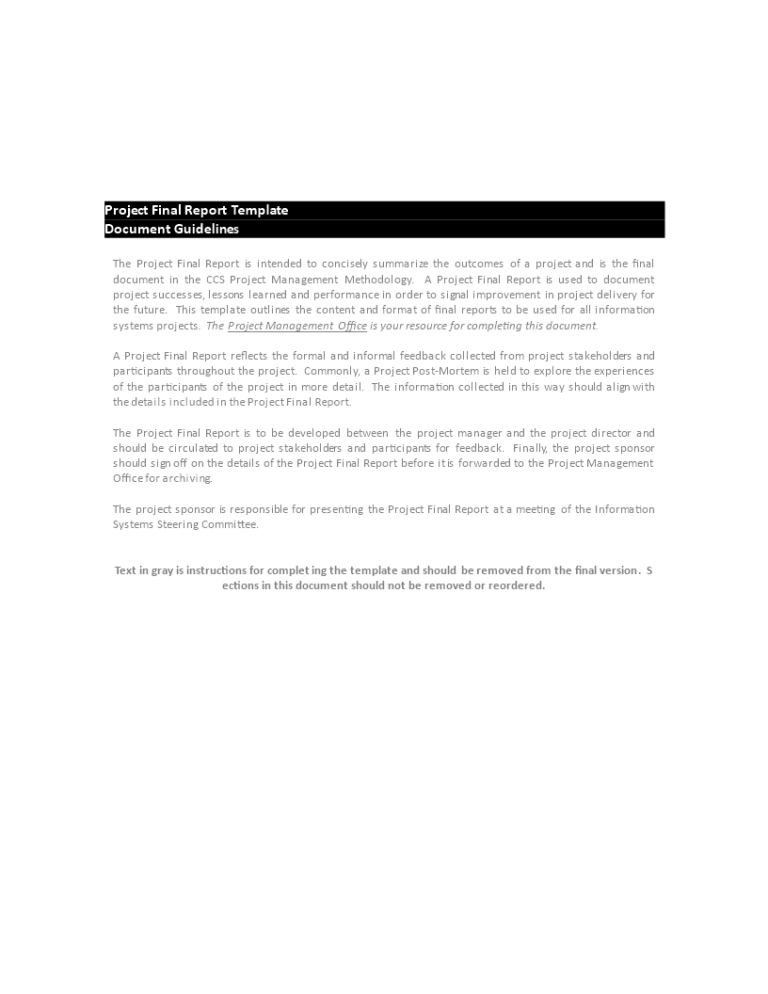 Kostenloses Professional Project Final Report Word Within Project ...