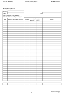 Monthly Activity Report Template - Rebeccachulew.com