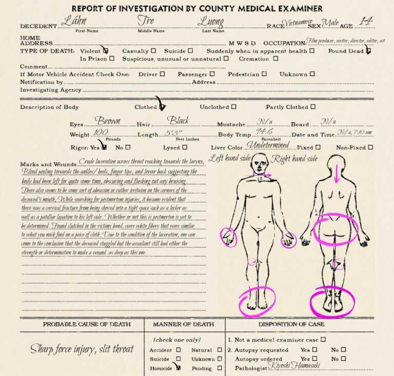 Morbid Academy: First Autopsy Report By NekoEm Chan On DeviantArt With ...