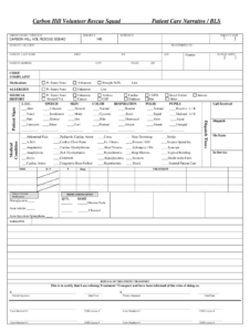 Patient Care Report Template – Fill Online, Printable, Fillable ...
