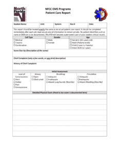 Patient Care Report Template - Rebeccachulew.com