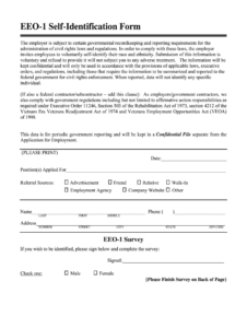Printable Eeo 10 Form: Fill Out & Sign Online DocHub With Eeo 1 Report ...