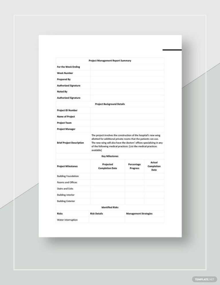 Project Management Reports Templates Pdf – Design, Free, Download In ...