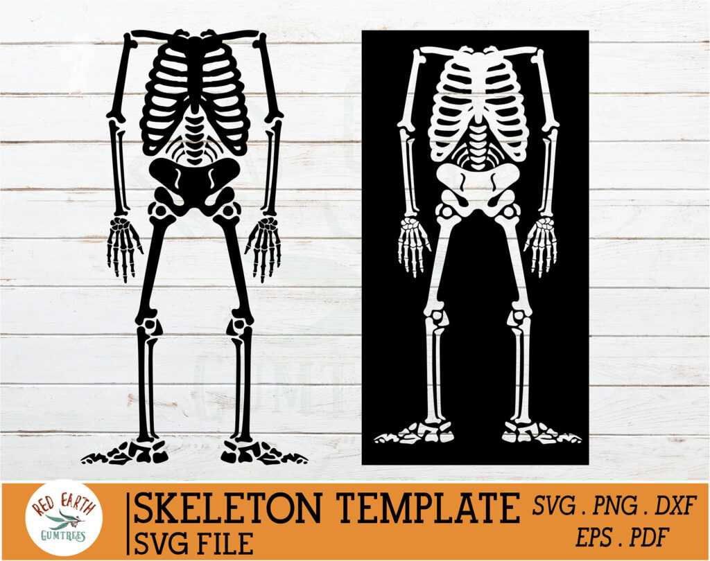 Skeleton, Bones, SVG, PNG, DXF, Pdf For Cricut, Silhouette Studio, Cut ...