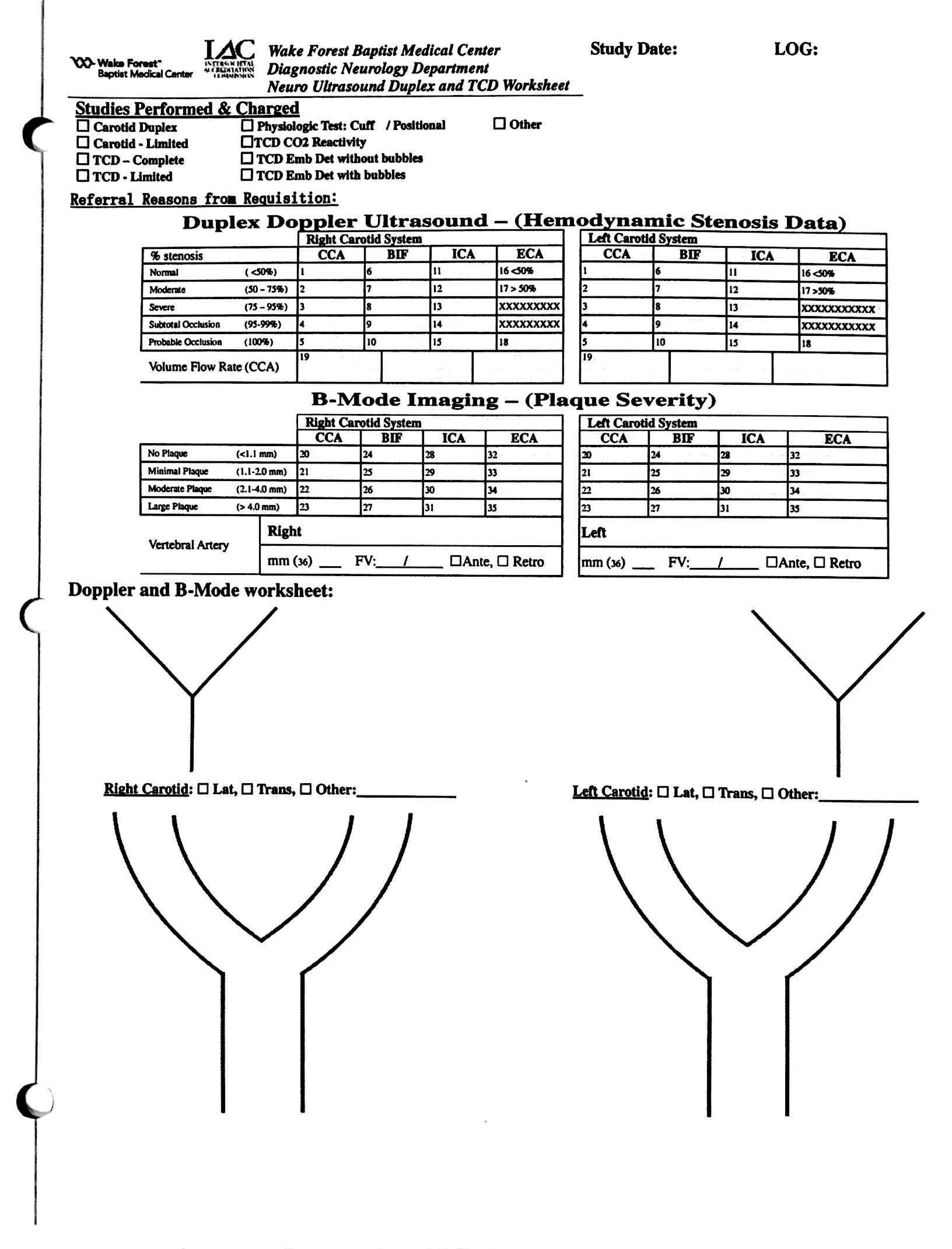 Carotid Ultrasound Report Template - Rebeccachulew.com