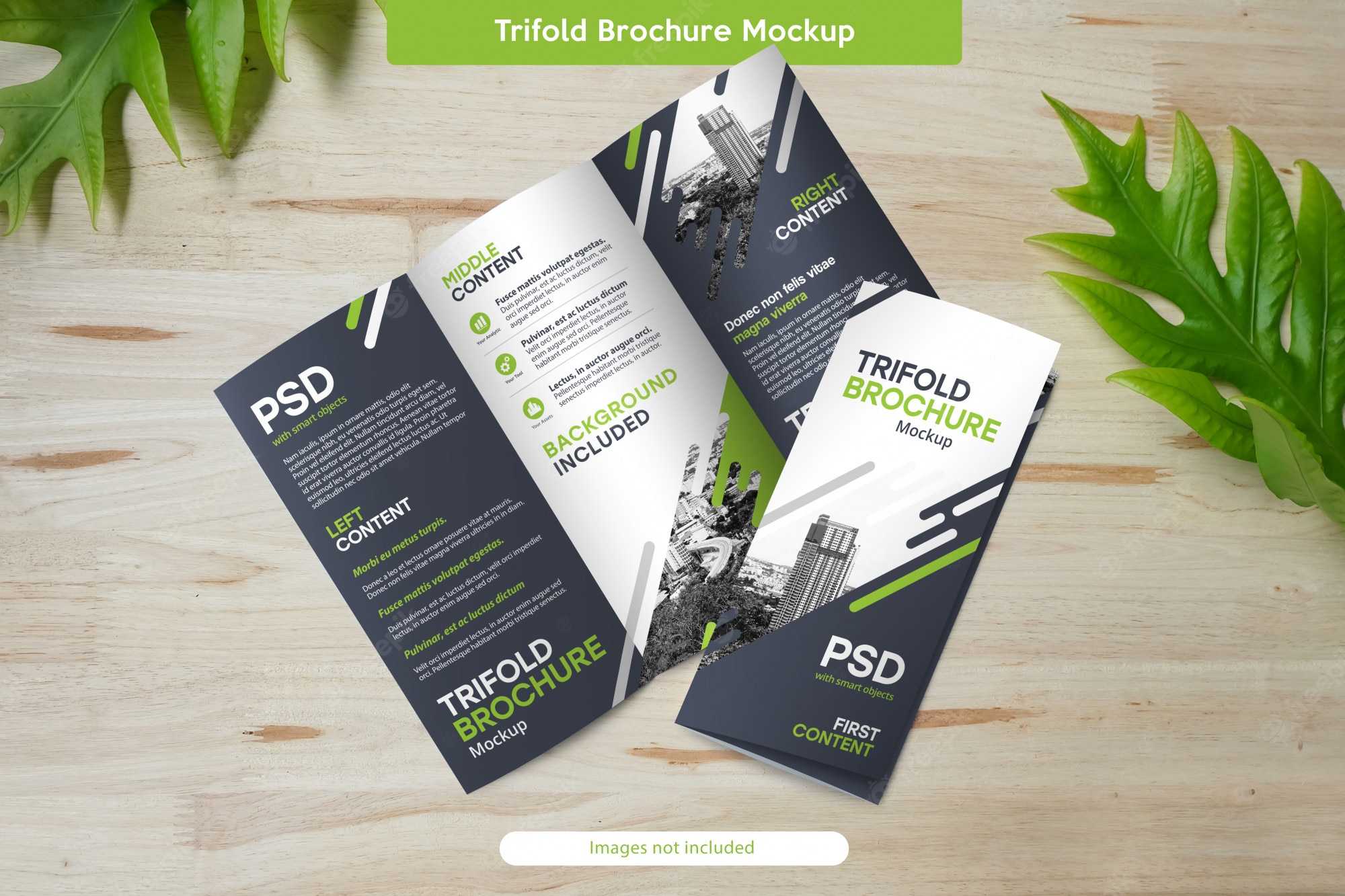 3 Fold Brochure Template Psd Free Download - Rebeccachulew.com