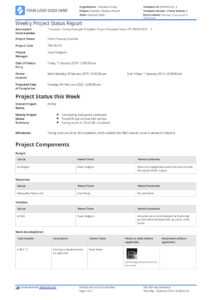 Software Testing Weekly Status Report Template - Rebeccachulew.com