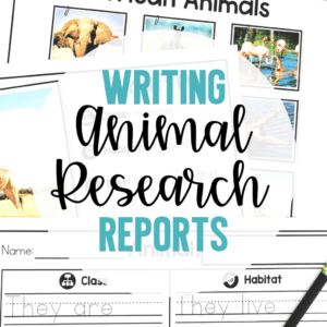 Animal Report Template - Rebeccachulew.com