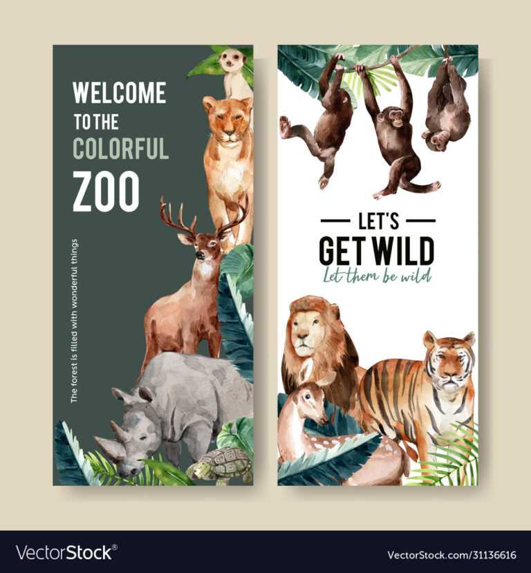 Zoo Flyer Design With Meerkat Lion Tiger Vector Image Regarding Zoo ...
